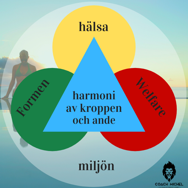 Holistisk, en strategi som ingen annan. | Coachmichel Coach Sportif ...